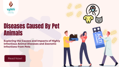Diseases Caused By Pet Animals: Causes and Impacts