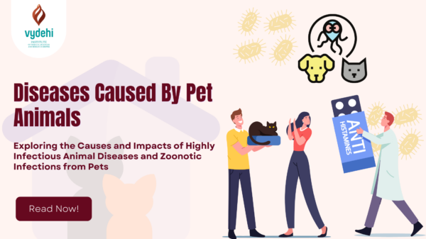 Diseases Caused By Pet Animals: Causes and Impacts