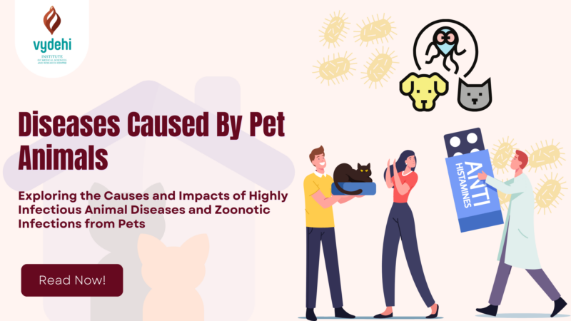 Diseases Caused By Pet Animals: Causes and Impacts