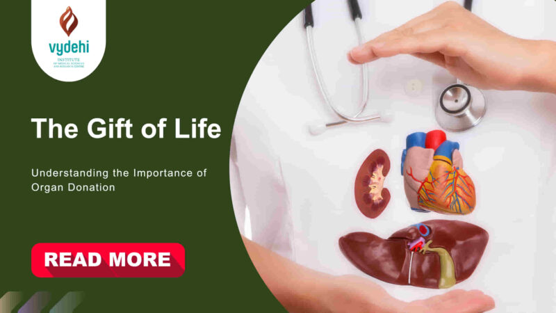 The Gift of Life: Understanding the Importance of Organ Donation
