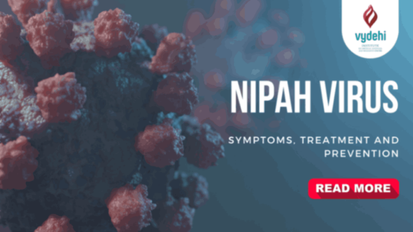 Nipah Virus: Symptoms, Treatment, and Prevention